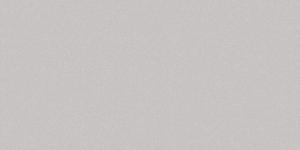 Monolight Grey 60 x 120 – Cerrad