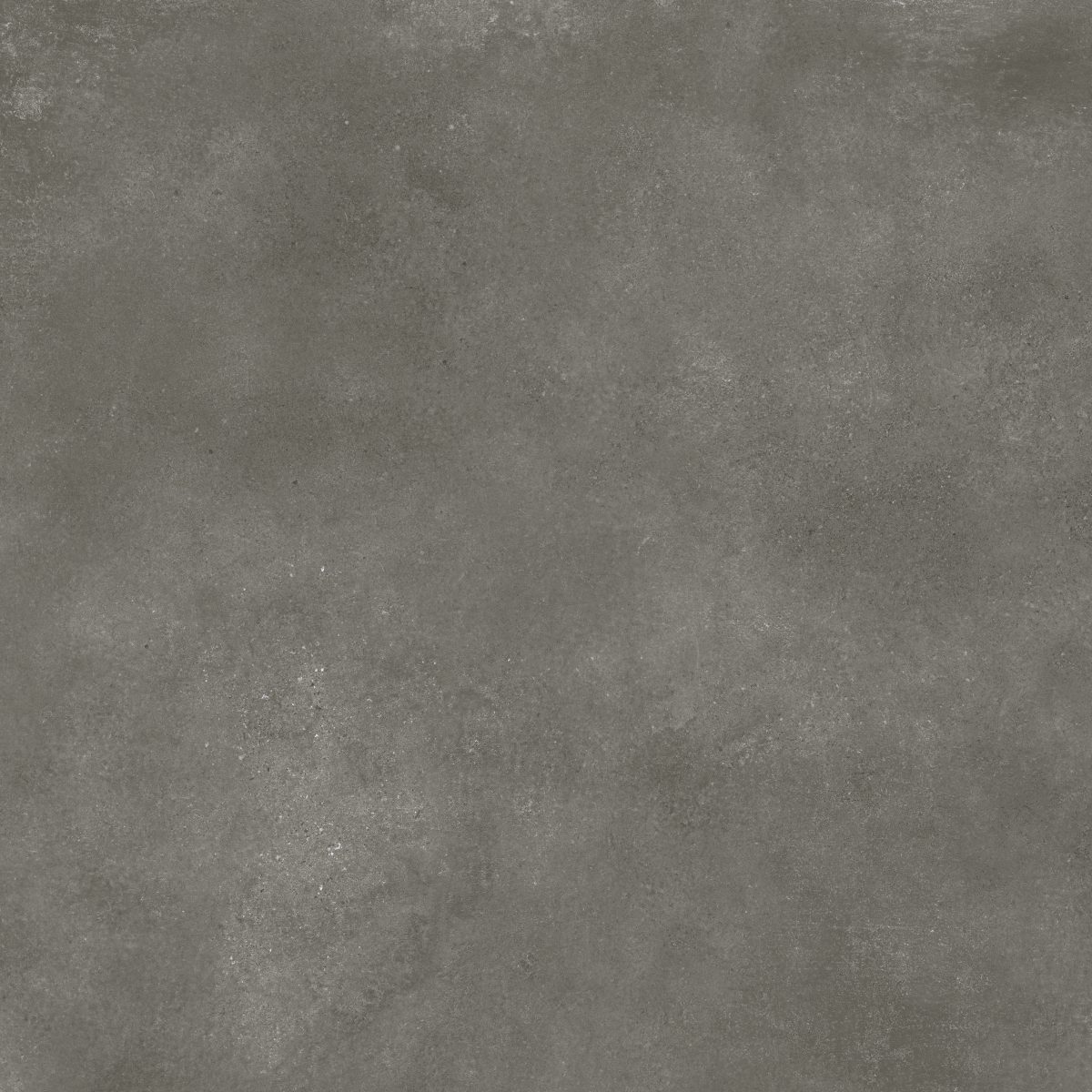 MODERN CONCRETE GRAPHITE 80 x 80 – Cerrad